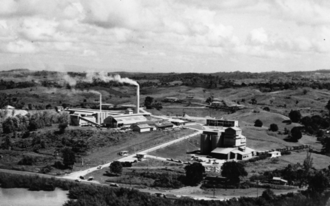 History Of TCL | RELIANT